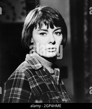 THE FOX, Anne Heywood, 1967 Stock Photo - Alamy