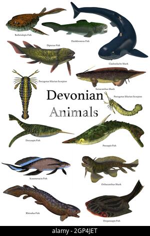 Devonian Animals - A collection of various aquatic animals that lived ...
