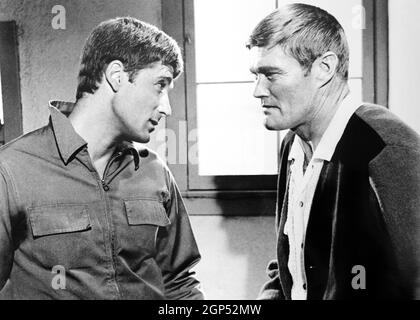 SYNANON, from left, Alex Cord, Stella Stevens, 1965 Stock Photo - Alamy