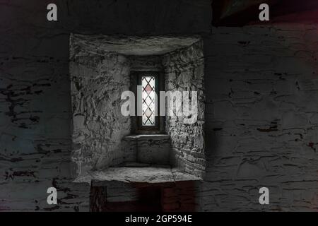 Ancient castle window, stone wall, covered with green ivy Stock Photo ...