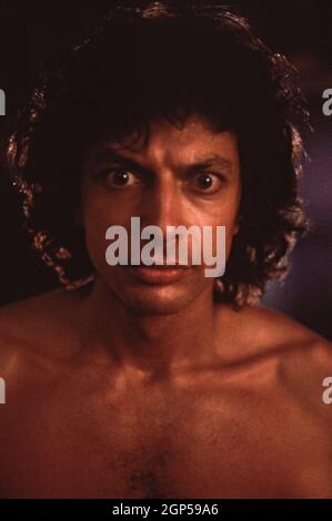 THE FLY, Jeff Goldblum, 1986, TM & Copyright (c) 20th Century Fox Film ...