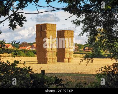 Two tall haystacks in a field in golden sunlight at Skipwith, North ...