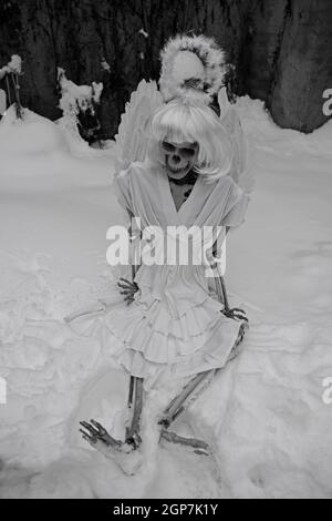 Last angel skeleton of an angel in white snow Stock Photo - Alamy
