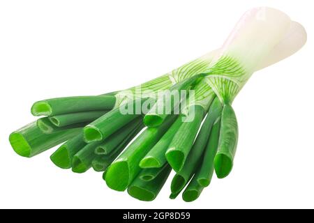 Green leek stalk (Allium cepa) isolated Stock Photo - Alamy