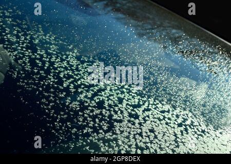 ice crystals on a car front window Stock Photo - Alamy