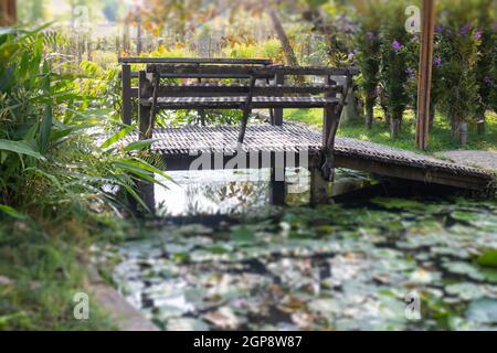 Simple resort furniture seat setting arrangement, stock photo Stock ...