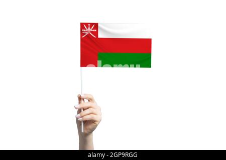 Beautiful female hand holding Oman flag, isolated on white background ...