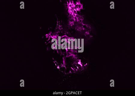 Violet flame. Fire. Burning of rice straw at night Stock Photo - Alamy