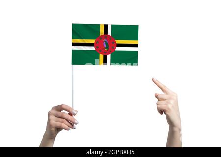Small national flags of the Dominica on a white background Stock Photo ...