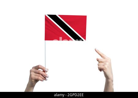 Small national flags of the Trinidad and Tobago on a white background ...