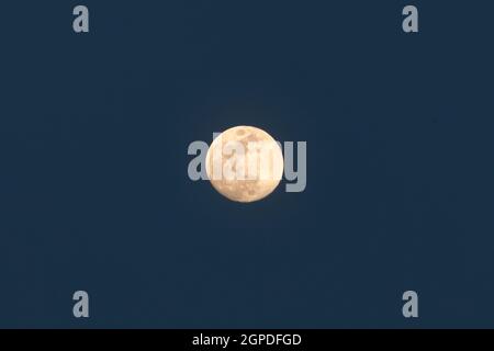Nice shoot of the full moon without clouds Stock Photo - Alamy