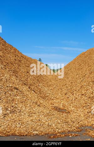 Dried wood piles for fuel Stock Photo - Alamy