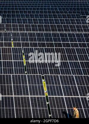 Major David Owen walks through a field of solar panels at the opening ...