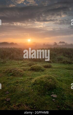 Sunrise over misty Croxley Common Moor park, Hertfordshire, UK Stock ...
