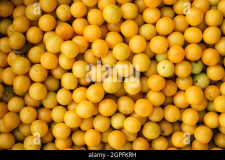 mini yellow plums in box Stock Photo - Alamy