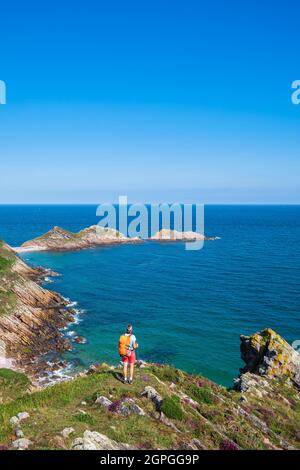 France, Cotes d'Armor, Erquy, protected natural site of Cap d'Erquy ...