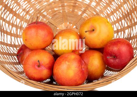 Several organic plums in straw plates, close-up, isolated on a black ...