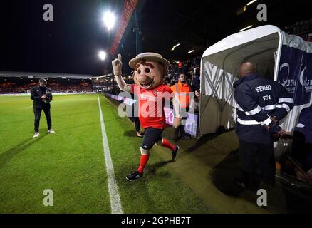 Luton Town mascot 'Happy Harry' Stock Photo - Alamy