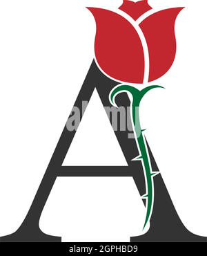 Letter K logo icon with rose design vector Stock Vector Image & Art - Alamy