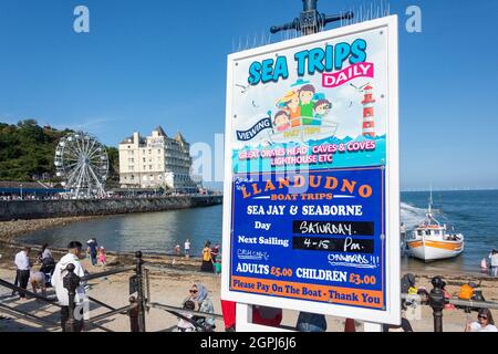 Llandudno boat trips from beach, Llandudno, Conwy County Borough, Wales ...