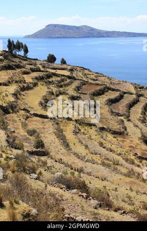 Terraces for agriculture on Isla Taquile, Lake Titicaca, Peru Stock ...