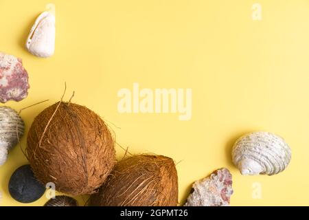 Whole Coconuts and shells on a yellow background .Marine theme Stock ...