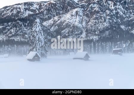After the snowfall. Dusk on the Sappada plain. Magic of winter Stock ...