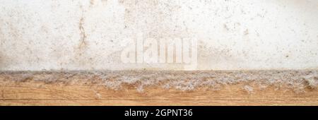 dust in the corner of the room. real old neglected dusty dirt, dirty ...