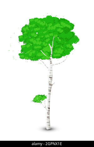 birch tree as vector drawn with single leaves Stock Vector Image & Art ...