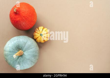 Ripe pumpkin on beige background Stock Photo - Alamy