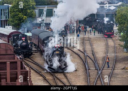 Steam locomotive meeting at the Odense Railway Museum (Jernbanemuseum ...