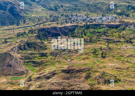 Agricultural terraces in the Colca Canyon, valley viewed from the ...
