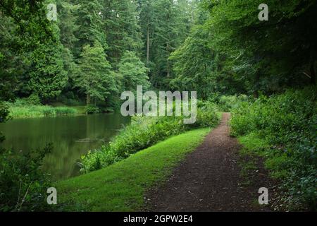 Soudley Ponds in Forest of Dean, Gloucestershire England UK. River ...