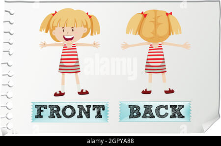 Opposite adjectives with front and back Stock Vector Image & Art - Alamy