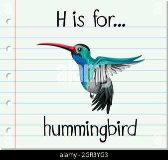 Flashcard letter H is for hummingbird Stock Vector Image & Art - Alamy