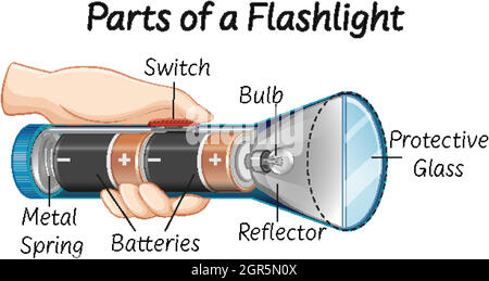 Parts of a flashlight illustration Stock Vector Image & Art - Alamy