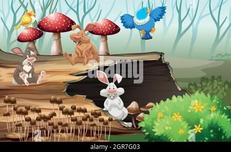 Rabbit in jungle scene illustration Stock Vector Image & Art - Alamy