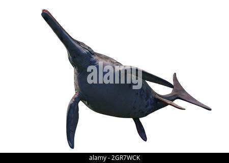 Ichthyosaur, extinct marine reptile from Early Triassic to Late ...