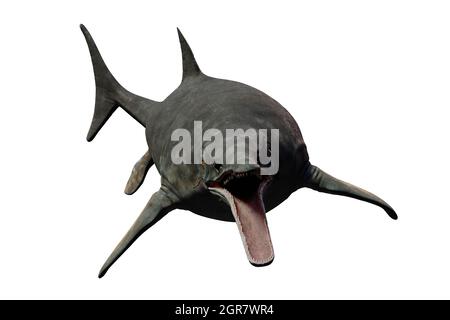 Ichthyosaur, extinct marine reptile from Early Triassic to Late ...