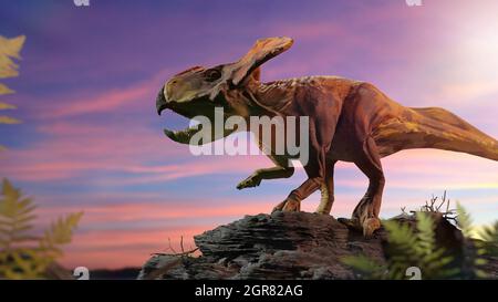 Protoceratops, dinosaur from the Late Cretaceous period, sitting ...