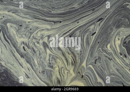 Pollen in a puddle. Beautiful stains in the water. Brownian motion of ...