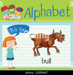 Flashcard letter B is for bull Stock Vector Image & Art - Alamy