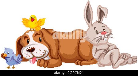 Different types of dogs on white background illustration Stock Vector ...