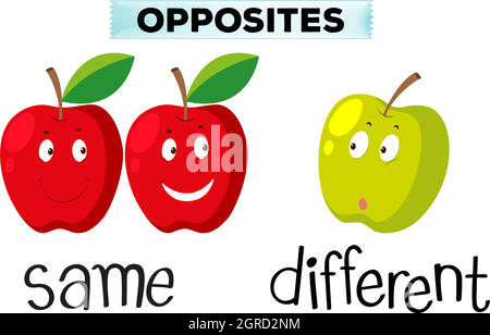 Opposite words for same and different illustration Stock Vector Image ...