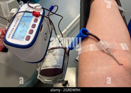 A blood donor gives blood in an NHS blood donation centre with needle ...