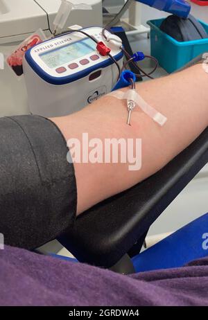 A blood donor gives blood in an NHS blood donation centre with needle ...