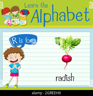 Flashcard letter R is for radish illustration Stock Vector Image & Art ...