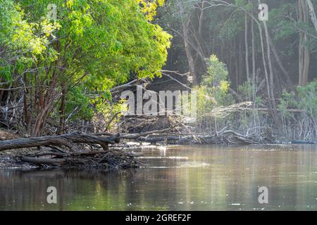 Wenlock River at Moreton Telegraph Station in dry season, Cape York ...