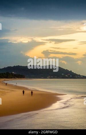 France, French Guiana, Rémire-Montjoly, Montjoly salt flats(aerial view ...