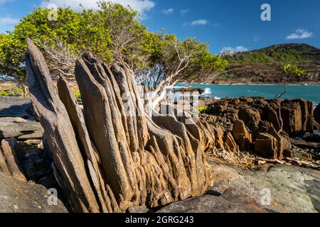 Vertical rock slabs and mangrove at the tip of Australian, Cape York ...